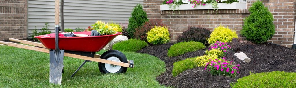 Landscape Services - Thomas Landscaping