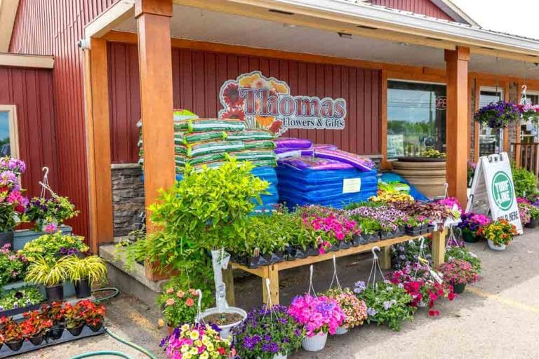 Home - Thomas Landscaping